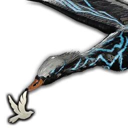 Sable Cygnus - Morphs - Throne and Liberty Codex