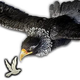 Raging Eagle - Morphs - Throne and Liberty Codex